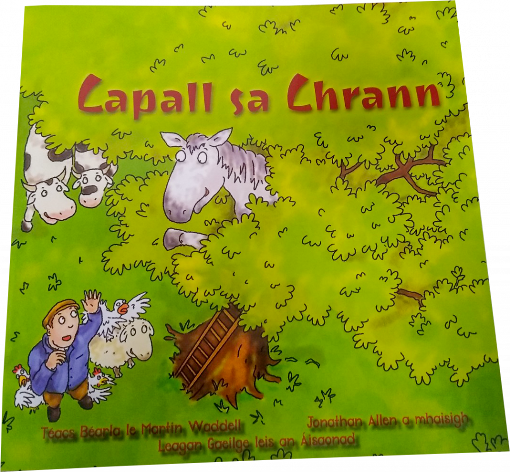 Capall sa Chrann | An tÁisaonad, Coláiste Ollscoile Naomh Muire